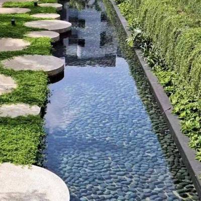 鹅卵石天然雨花石石彩彩色石子肉240825铺面鱼缸景花盆造园艺装饰