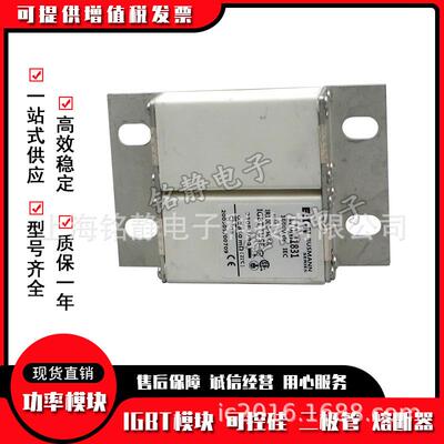 170M1832170M1833170M1842巴斯曼熔断器现货170M1843170M1844