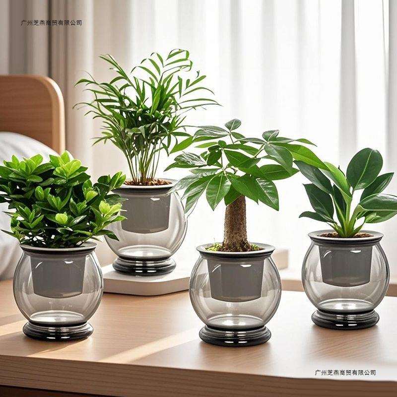 水培植物发财树盆栽室内袖珍椰金钻桌面水培植物栀子花卉绿植其他