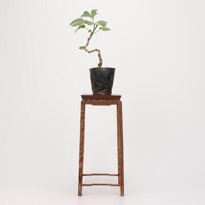 红木底座像型实鸡NGN翅木小花架茶壶佛多肉盆景花瓶微型高脚花几