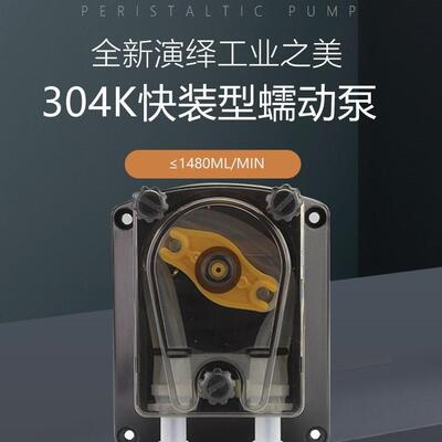 304K型蠕动泵_微型恒流泵_卫生级蠕动泵304K/ZLX304K/ZL/BT