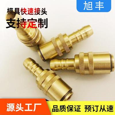 家用镀铜高压水枪洗车神器铜模具快速德式运水快装带针接头快插