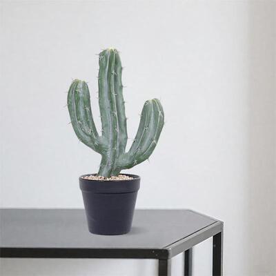 造北欧风格仿真仙人掌盆栽掌仙沙生植物景龙神柱人柱门仿真仙人店