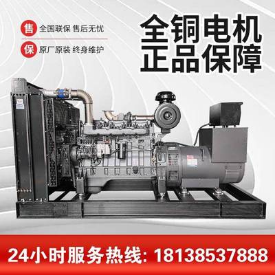 上海沃灵动力发电机250W柴全铜K无刷油发MHX电机组上海斯坦福电机