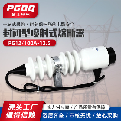 封闭型喷射式熔断器PRW-12/100跌落式封闭型保险操纵杆拉闸10kv