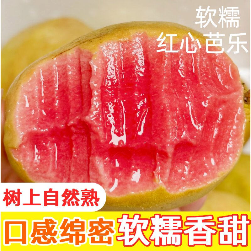 福建漳州红心芭乐番石榴芭乐新鲜低糖水果草莓奶油芭乐软糯香甜