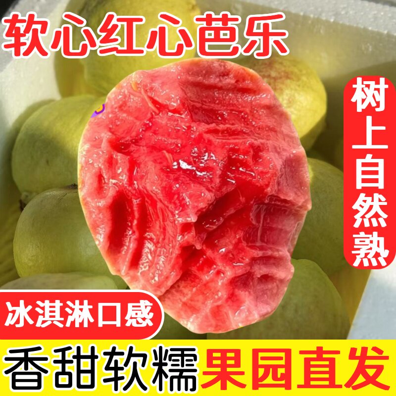 福建软糯红心芭乐5斤新鲜水果番石榴脆甜软糯胭脂红巴乐整箱包邮
