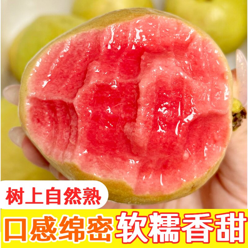 福建漳州红心芭乐番石榴芭乐新鲜低糖水果草莓奶油芭乐软糯香甜