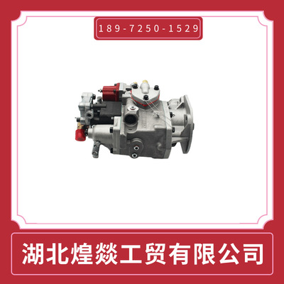 重庆康明斯NTA855发动机燃油泵3264582/3088673/4951418/4951437