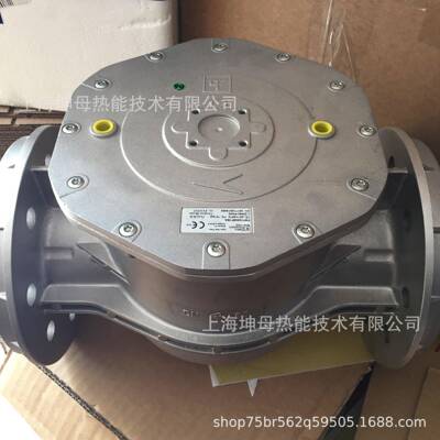 意大利Fiorentini过滤器滤芯F10607F1BADN65