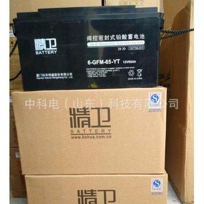 鄂尔多斯科华蓄电池精卫系列6-GFM-65-YT12V65AH铅酸免维护蓄电池