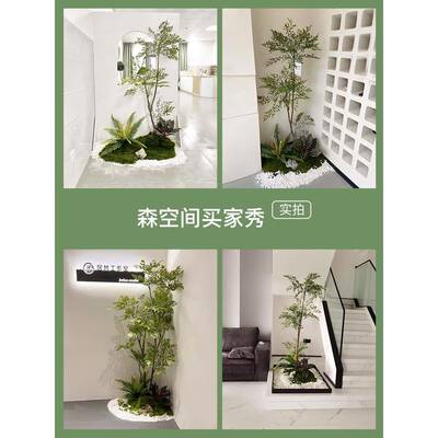森空植12797间楼梯下造南景角落天竹装饰花假花绿植软物景观装摆