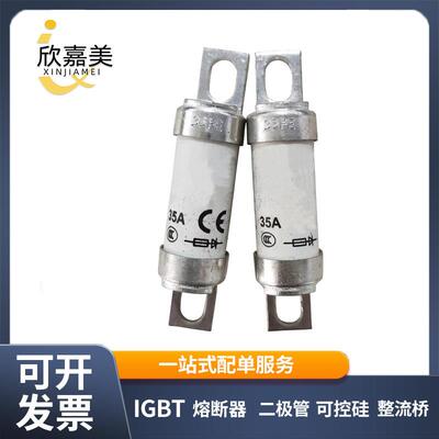 BS88-4AC690V35A25A35A45A50A60A快速熔断器现货直发