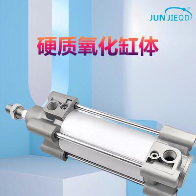 标准气缸C96/2CP96SDB40-75/5/75/100/125/1050117/15C-W