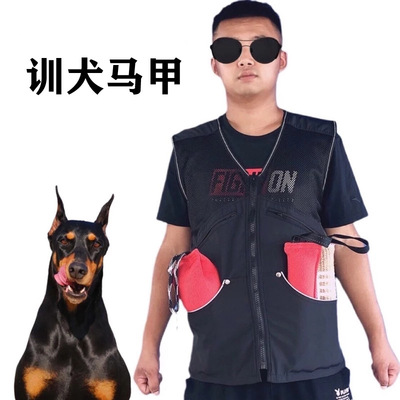 透气防抓网纱训犬师马甲背心