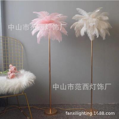50825工厂大厅卧室带置物架鸵羽毛婚落路地灯氛围灯轻鸟奢庆引灯