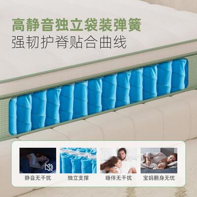 跨境床竹炭席思胶TLY水凝胶记忆棉垫能六梦星酒店家用智床全拆洗