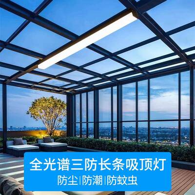 TRIAC阳光房专用灯玻璃房阳台房吸顶灯户外壁灯屋檐雨棚长条吸顶