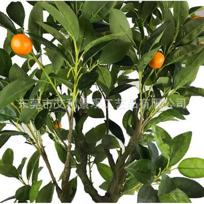 桔子植树盆AL-GJS-0景植居室内物装饰塑料假家花盆景柑橘观赏物