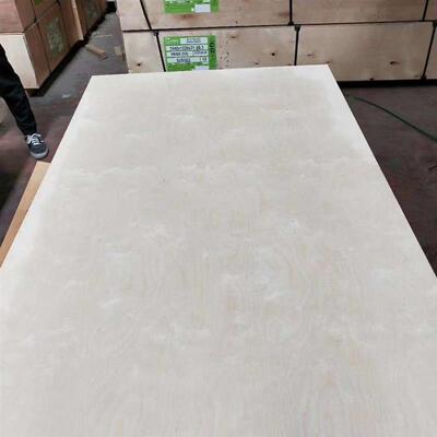 合板E0音箱胶木合板全CSZ防多层合胶板海洋进口实模木桦船舶型型