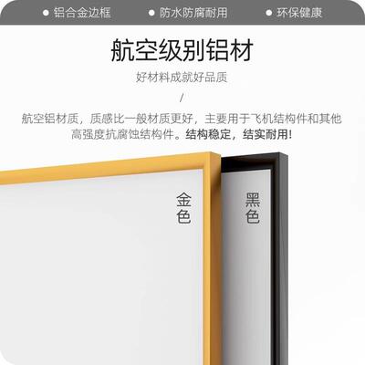 钢的化玻璃FHL镜子用全身穿衣镜落地镜家用壁挂墙不会碎立式商试