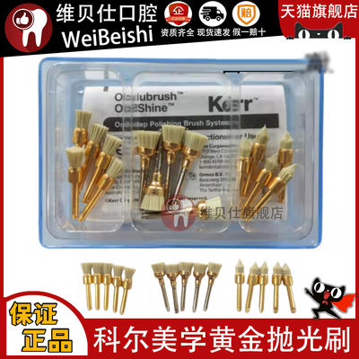 科尔/Kerr抛光刷套装牙科美国kerr抛光毛刷科尔低速黄金美学修复