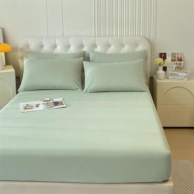 类磨全A棉毛床笠单件加厚纯棉床罩床垫保护罩套防尘床KL单春日绿