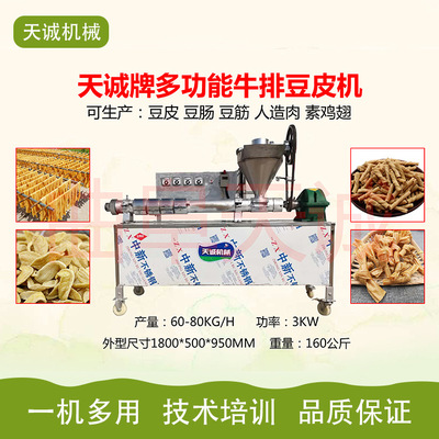 天诚自动喂料麻辣条豆皮机