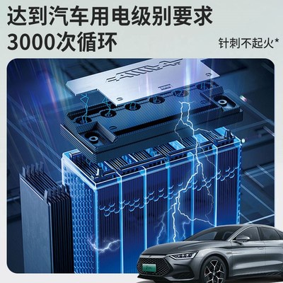 南威锂电池电动喷雾器专用蓄电池12V大容量农用打药机背负式配件