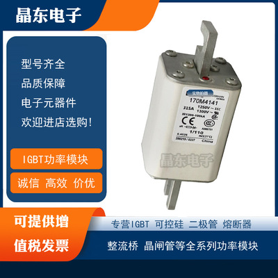 170M5563170M5564170M5565170M5566170M5567170M5568熔断器