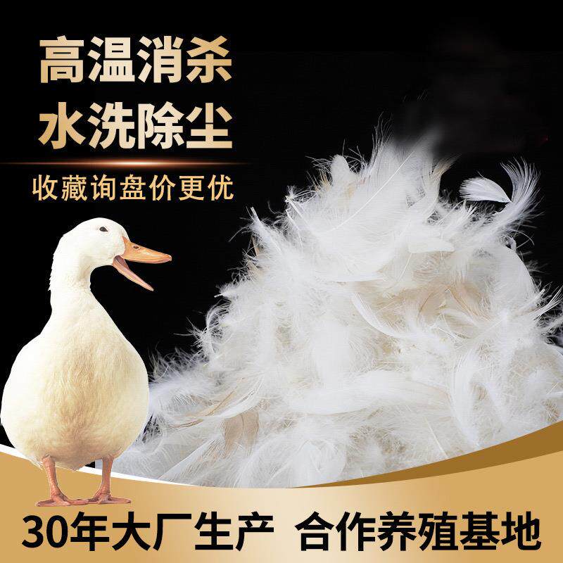 水洗2-4cm普白鸭毛片普白沙发枕芯坐垫填充原料厂家羽绒羽毛