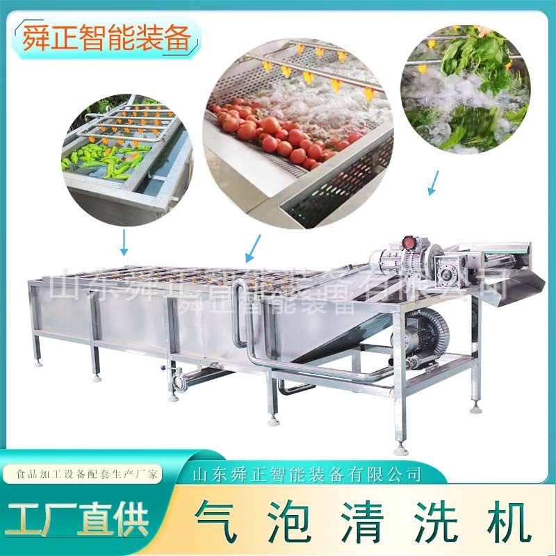 蔬菜鼓泡翻浪清洗设备 洗菜洗果机 水循环喷淋式果蔬气泡清洗机