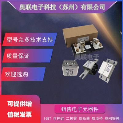 巴斯曼170M3365-3371熔断器
