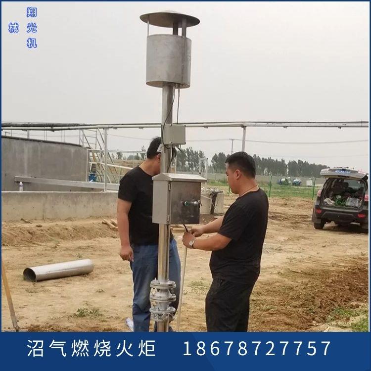 沼气排放系统 粪污处理尾气燃烧设备净化脱硫系统