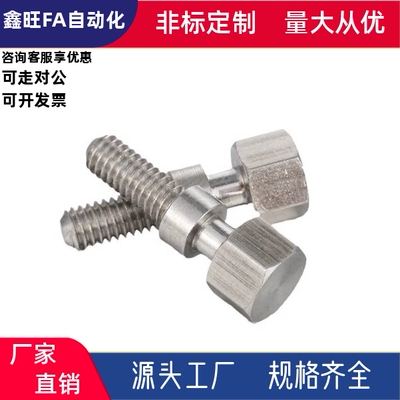 T尺寸简易外六角调整螺栓PAY21-M6/8-L60/65/70/75/80/20/25/30现