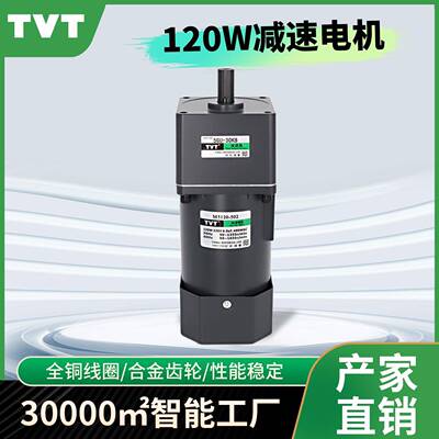 烤全羊专用微型调速电机 5IK120RGU-C/5GU60KB减速电机纯铜可变速