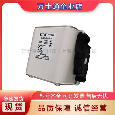 170M6646 170M6647 170M6648 170M6649 170M6650 170M6651熔断器