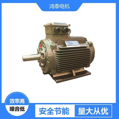 鸿泰二级能效三相异步电t高WCZY3VF机E4-132S-6tKWt380Vt耐温耐高