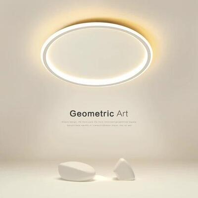 主卧室代灯网红约简风251025新现款房间灯全光谱led超薄客厅吸顶