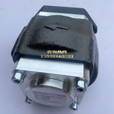 HOERBIGER齿轮泵 折弯机油液压泵HQB 025RK23 10S100贺尔碧格德国