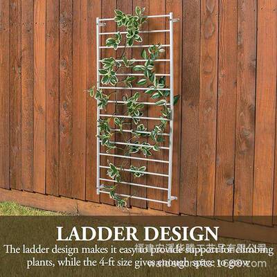 现代色属壁挂卧金式多杆式户外栏吊56720挂支架花园攀岩植物白爬