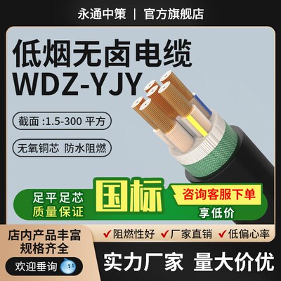 永通中策国标铜芯低烟无卤WDZ-YJY电缆护套线2 3 4 5芯4-300平方