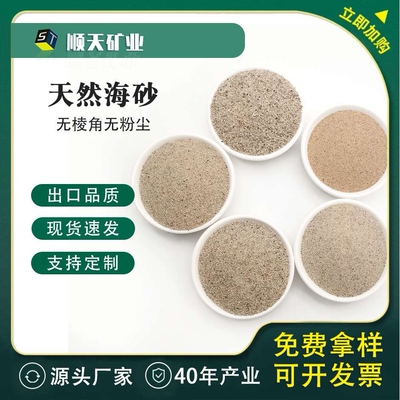 海砂儿童娱乐圆粒砂地面造景水洗海沙铺面砂细砂沙池填充喷砂