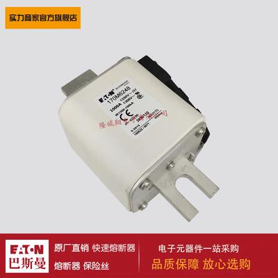 熔断器170M6248 170M6249 170M6250 170M6251 170M3408 170M3409