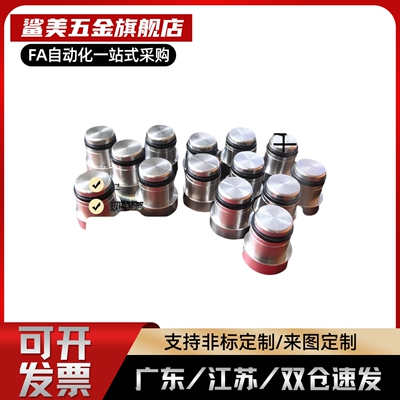 直线导轨用定位销LLT/LLTS/LLTA偏心销ICE11/12/31-T