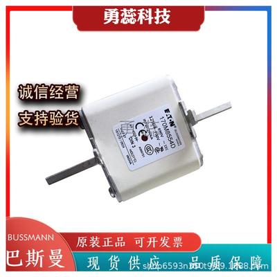 快速熔断器6170M2089D170M8554DHLE17M8555D