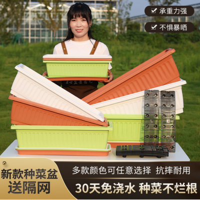 阳台种菜盆长方形花盆特大号长条花盆树脂蔬菜种植箱无孔花盆塑料