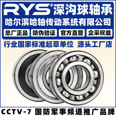 RYS 哈轴传动 6076 6080 6084 6088 开式