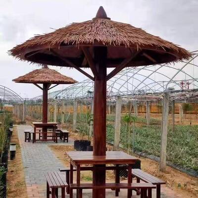 F98M79T7外茅户草凉亭圆顶斗蘑菇亭稻笠农家乐防腐木长廊景区农庄