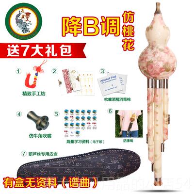 高档胶木初学 孔葫丝c 降b调雀灵乐器 云南葫芦丝芦 厂家调直销